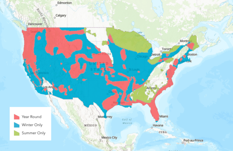 What is the natural range of bald eagles? – Eagle Cam